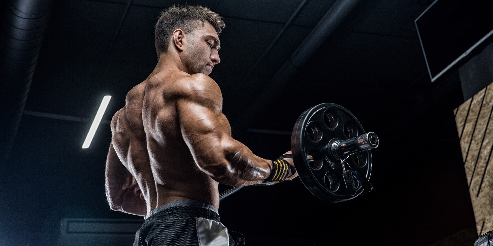 Muscle Builders – The Arsenal Nutrition & Supplement Depot